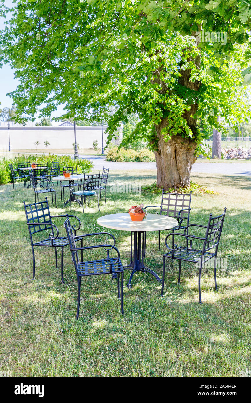 Table chair under tree in hi-res stock photography and images - Alamy