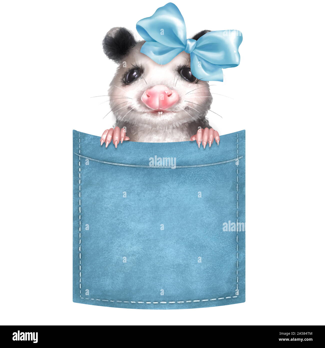 Opossum rat hi-res stock photography and images - Alamy