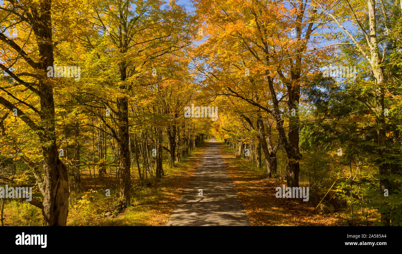 Desolate country road has leaves falling in autumn season New York ...