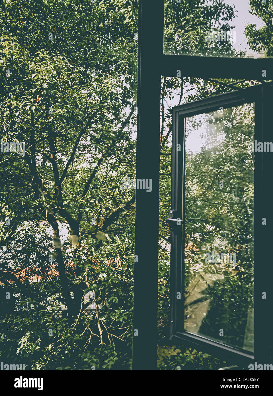 open window with a landscape view. Window view on nature design Stock ...