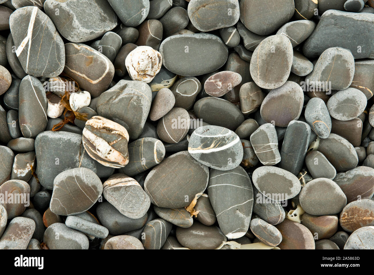 Cornish beach pebbles. England Stock Photo - Alamy