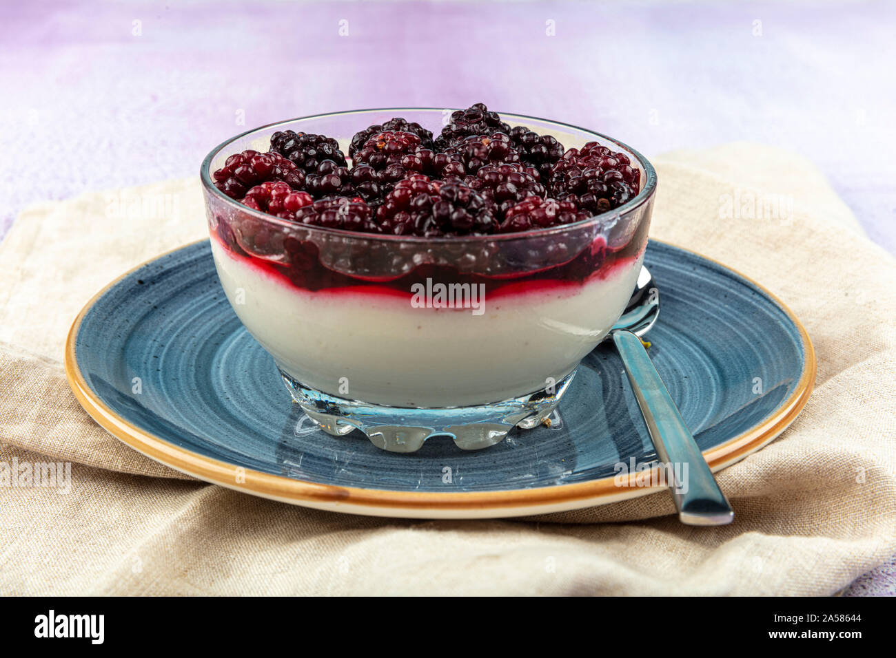 Delicious italian dessert panna cotta with berry sauce. Vanilla pudding ...