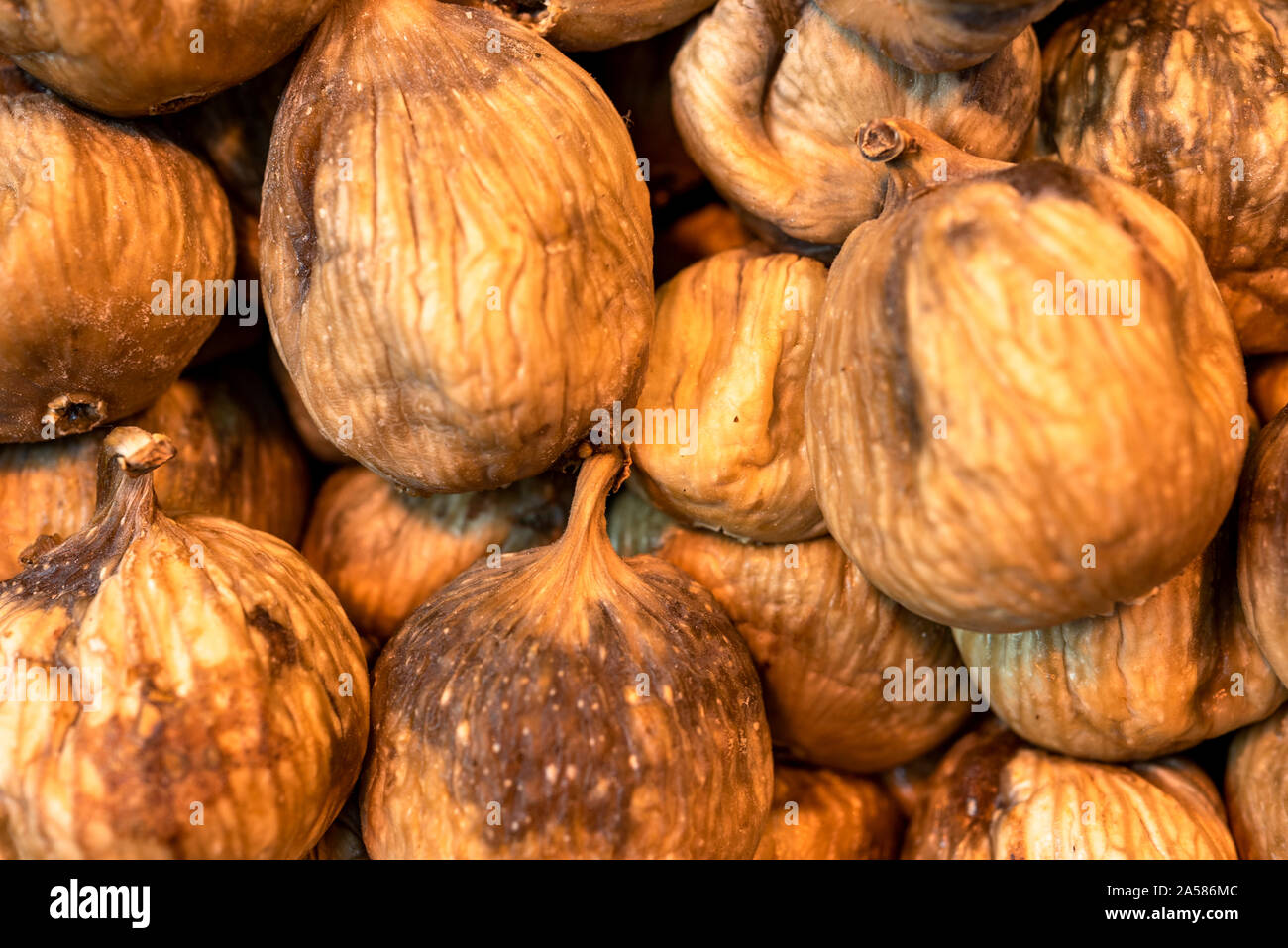Fig cross section hi-res stock photography and images - Alamy