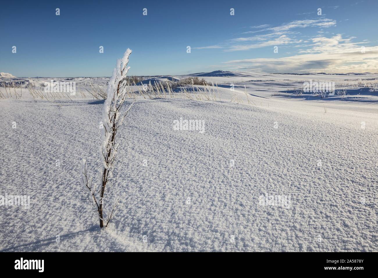 White snowy field under the clear light blue sky in Snowfield, Iceland ...