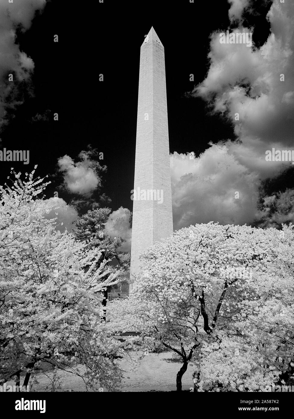 D monument Black and White Stock Photos & Images - Alamy
