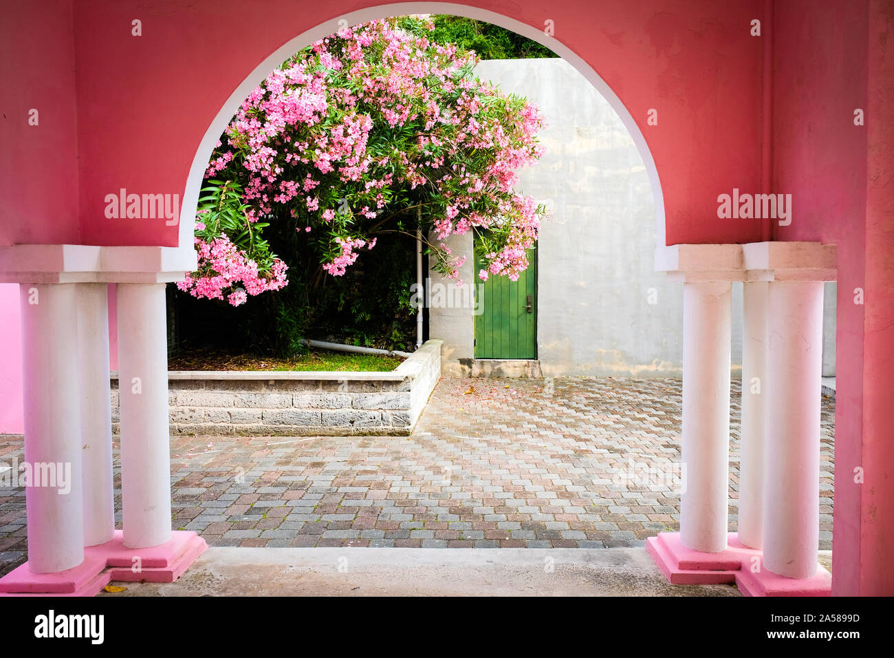 Pink and blue are favorite colors in Bermuda Stock Photo - Alamy