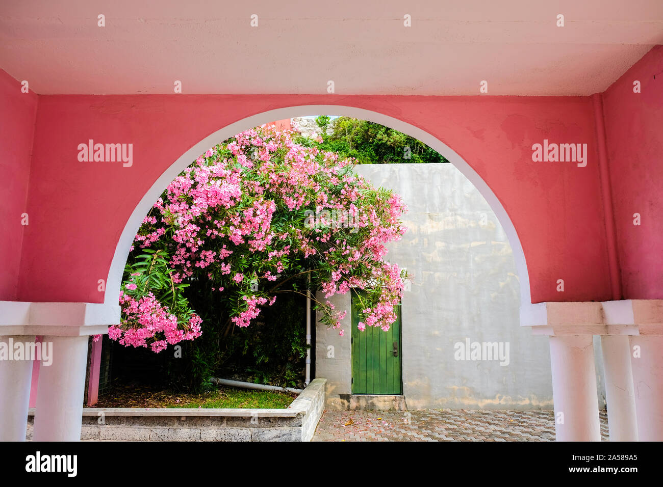 Pink and blue are favorite colors in Bermuda Stock Photo - Alamy