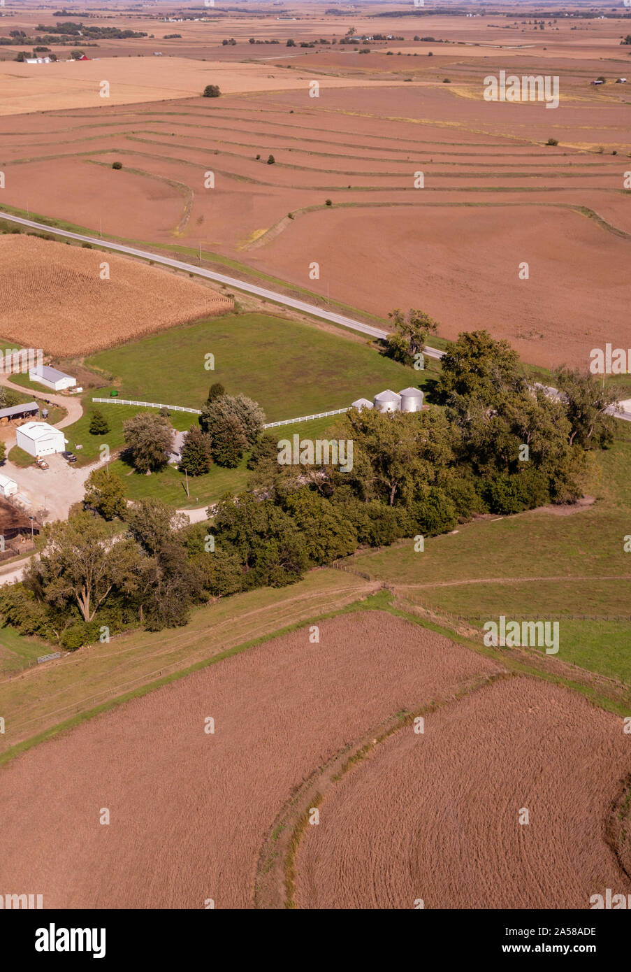 Cattle farming usa aerial hi-res stock photography and images - Alamy