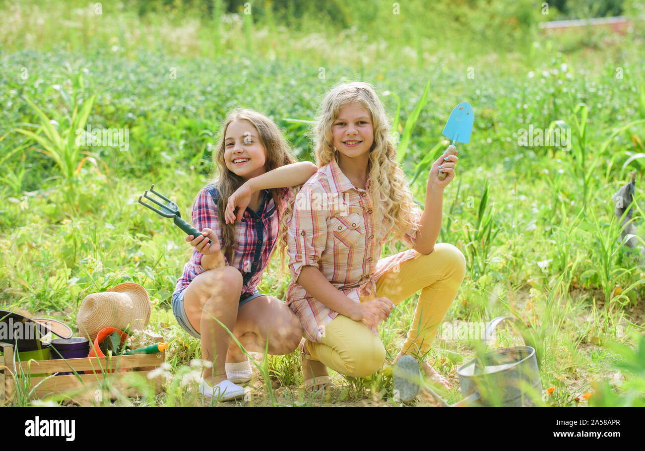 Agriculture concept. Growing vegetables. Planting vegetables. Summer ...