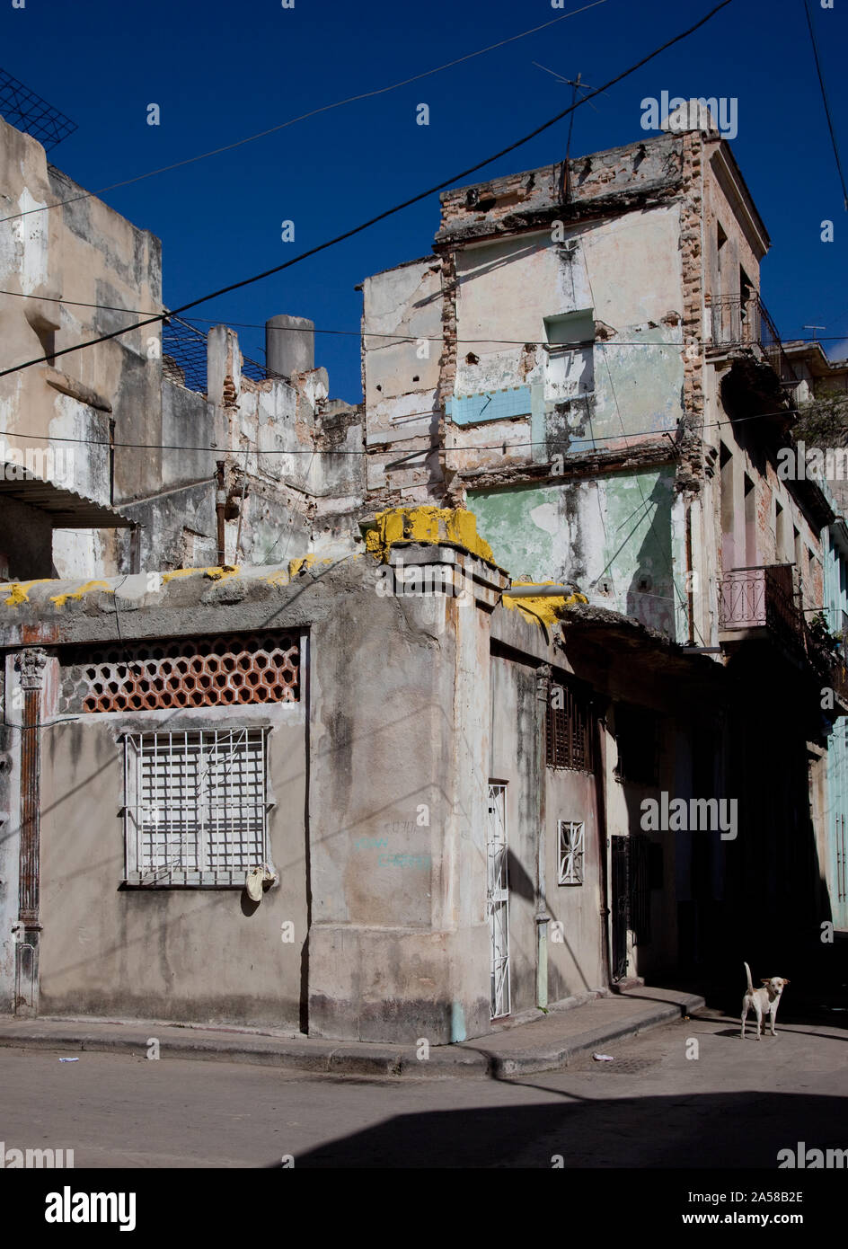 Typical small neighborhood street showing decay and stray dogs, Havana ...