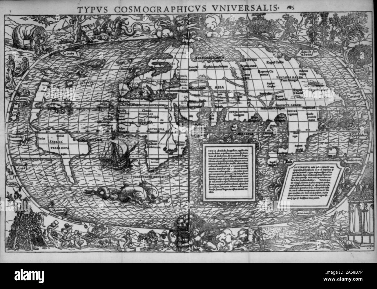 Typus cosmographicus universalis hi-res stock photography and images ...