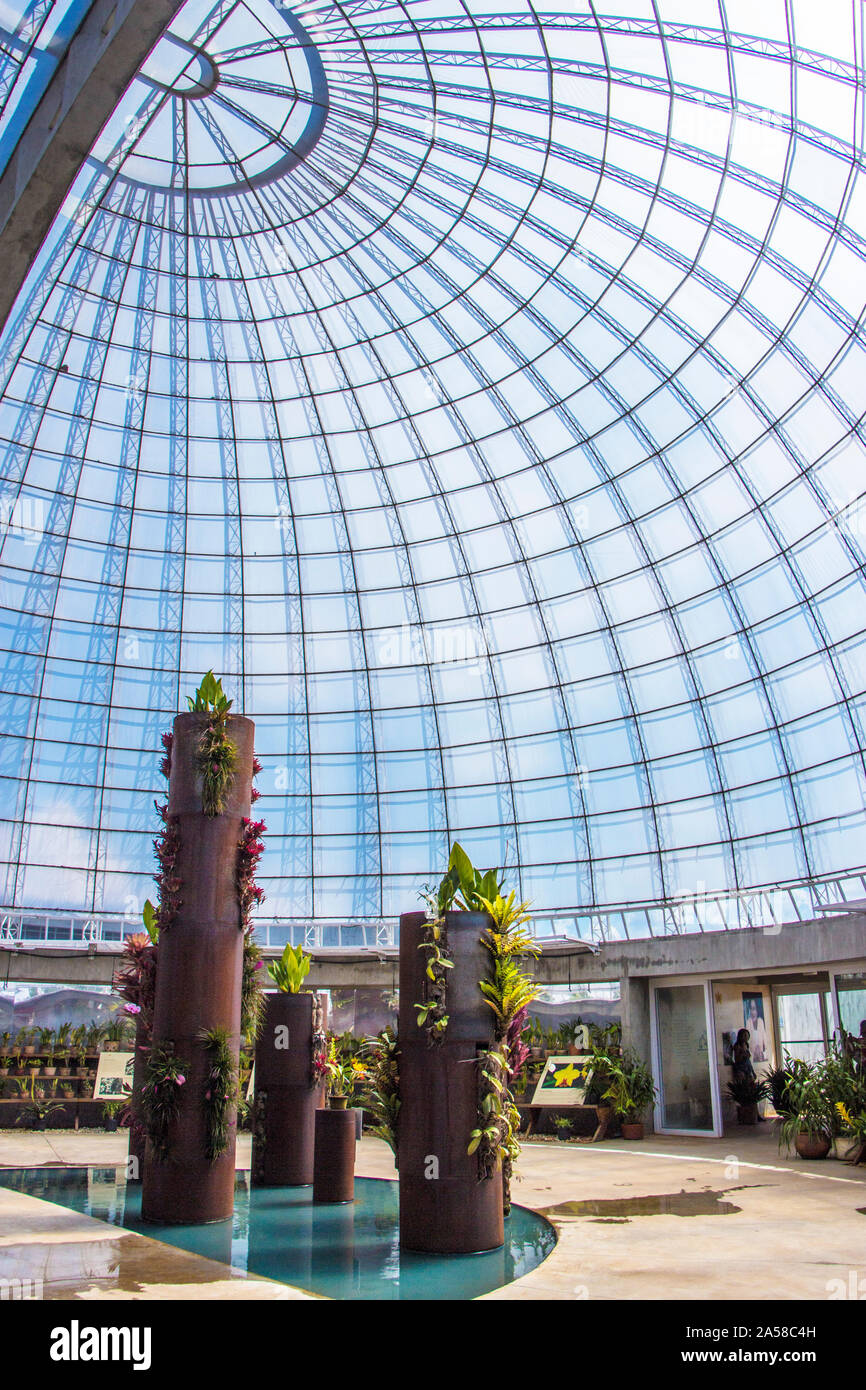 Ruth cardoso hi-res stock photography and images - Alamy