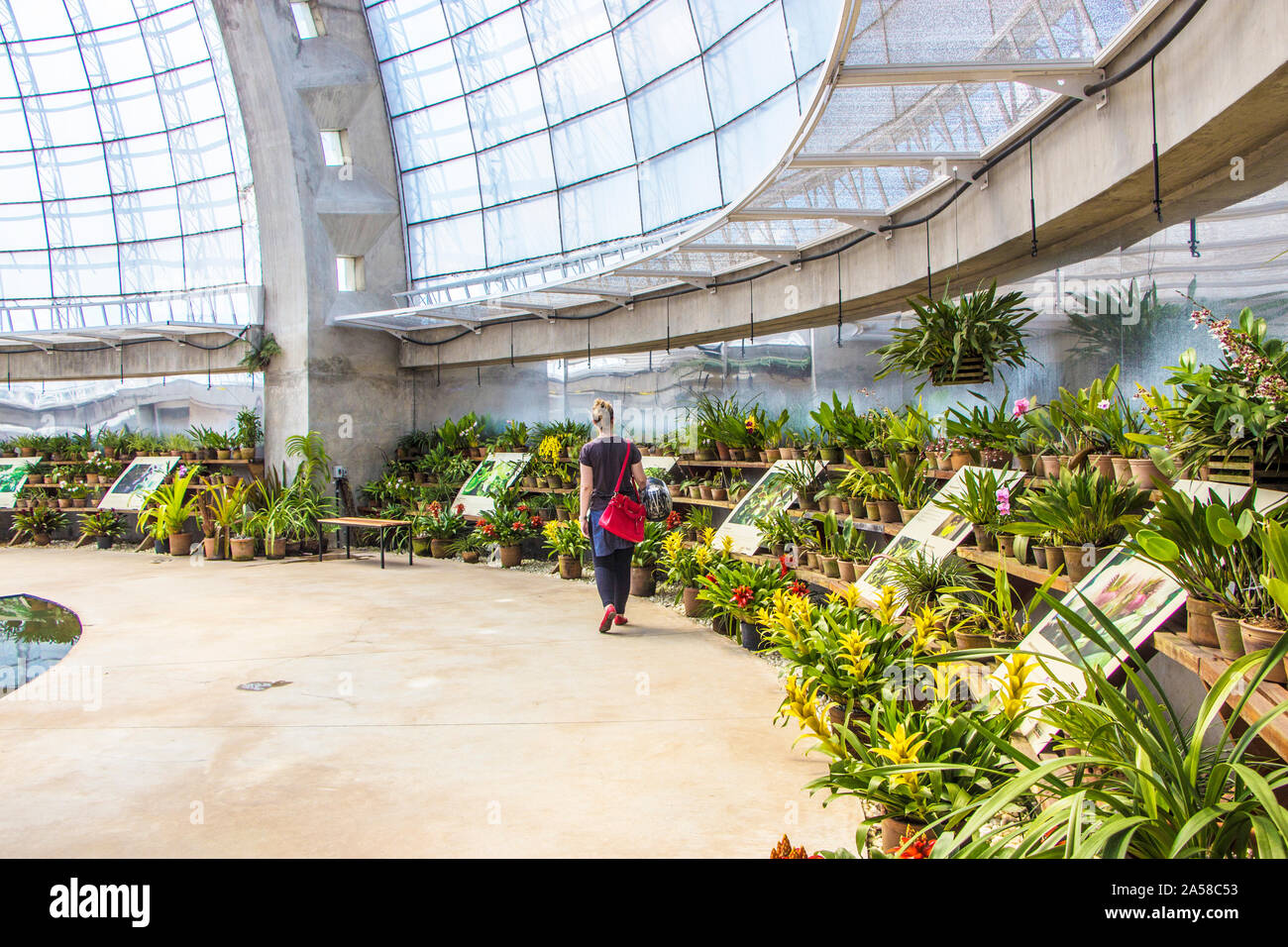 Orquidário Ruth Cardoso, Villa Lobos Park, Capital, São Paulo, Brazil ...