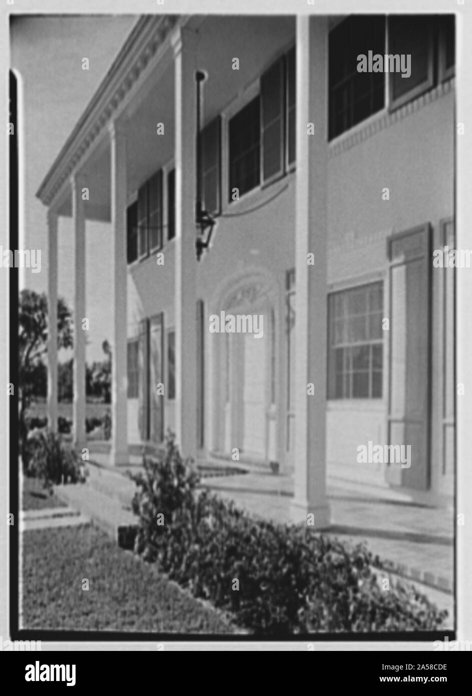 R e n Black and White Stock Photos & Images - Alamy