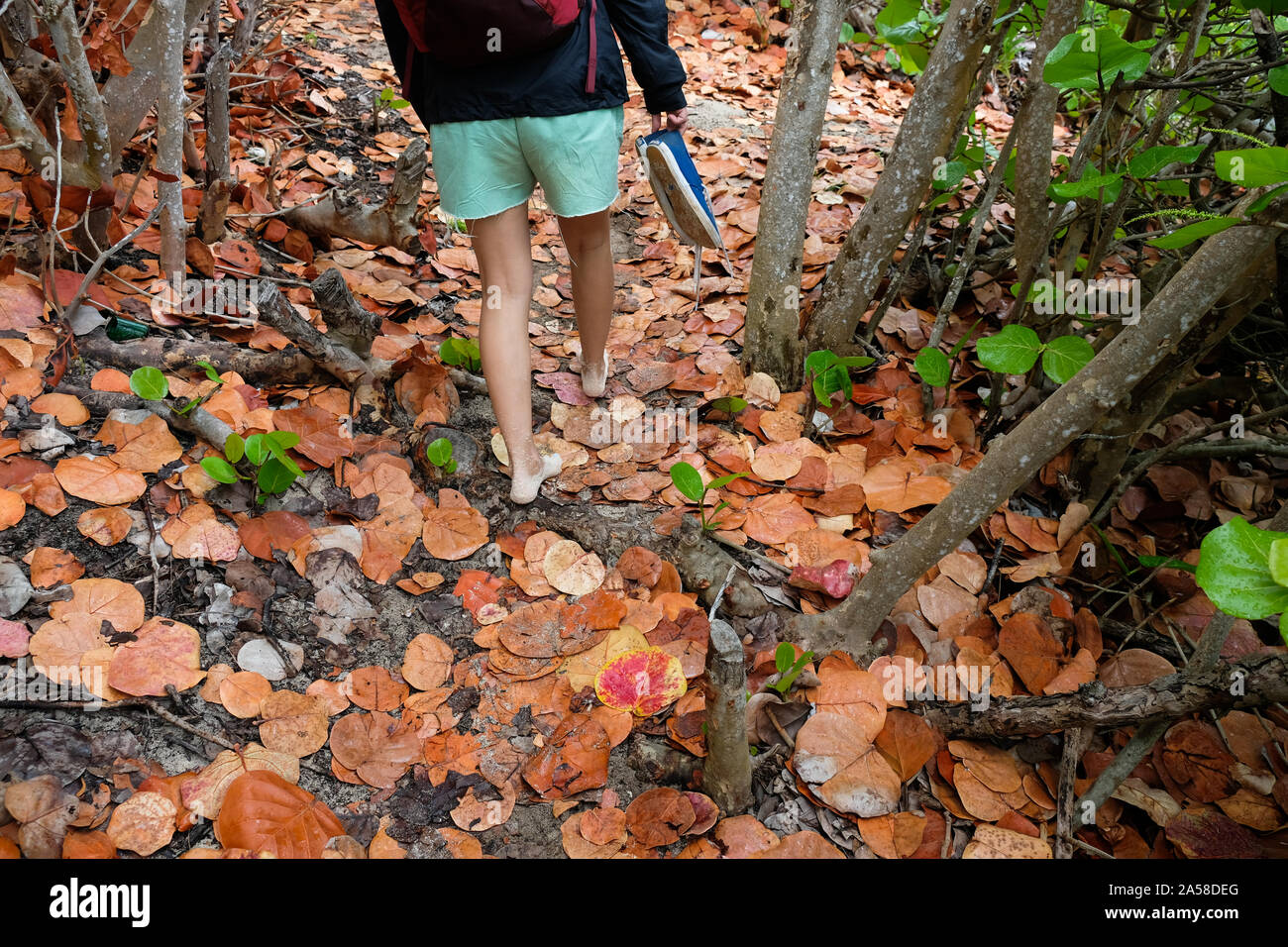 Pink and blue are favorite colors in Bermuda Stock Photo - Alamy