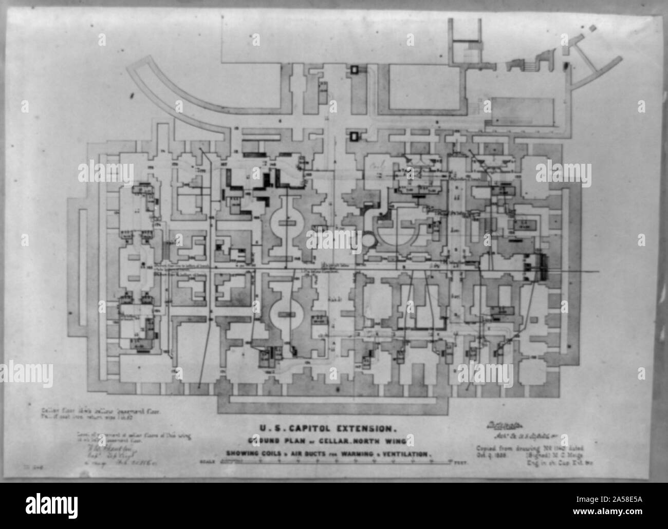 Wing s Black and White Stock Photos & Images - Alamy