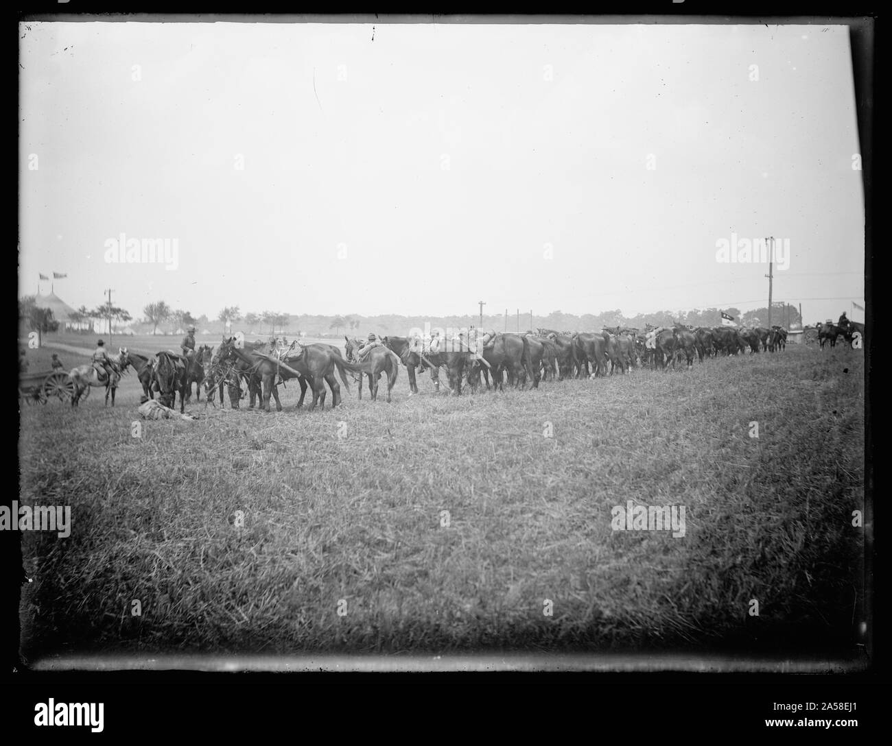 U s cavalry hi-res stock photography and images - Alamy