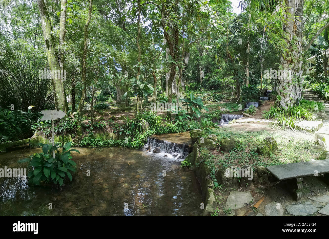 Botanic garden rio de janeiro hi-res stock photography and images - Alamy