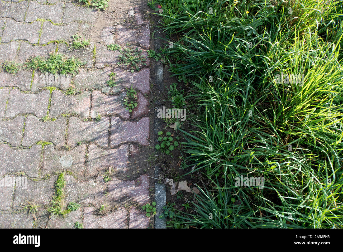 autumnal landscape and nature of geeste in the district emsland ...