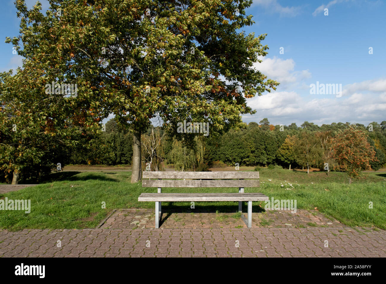 autumnal landscape and nature of geeste in the district emsland ...