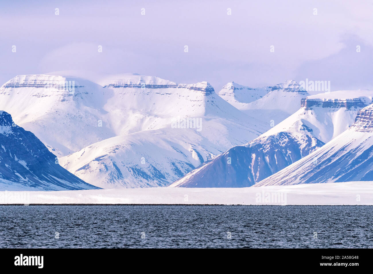 The snowy mountains and fjords of Svalbard at dusk. During spring ...