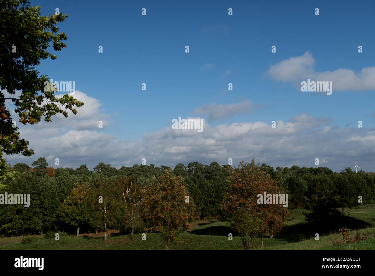 autumnal landscape and nature of geeste in the district emsland ...