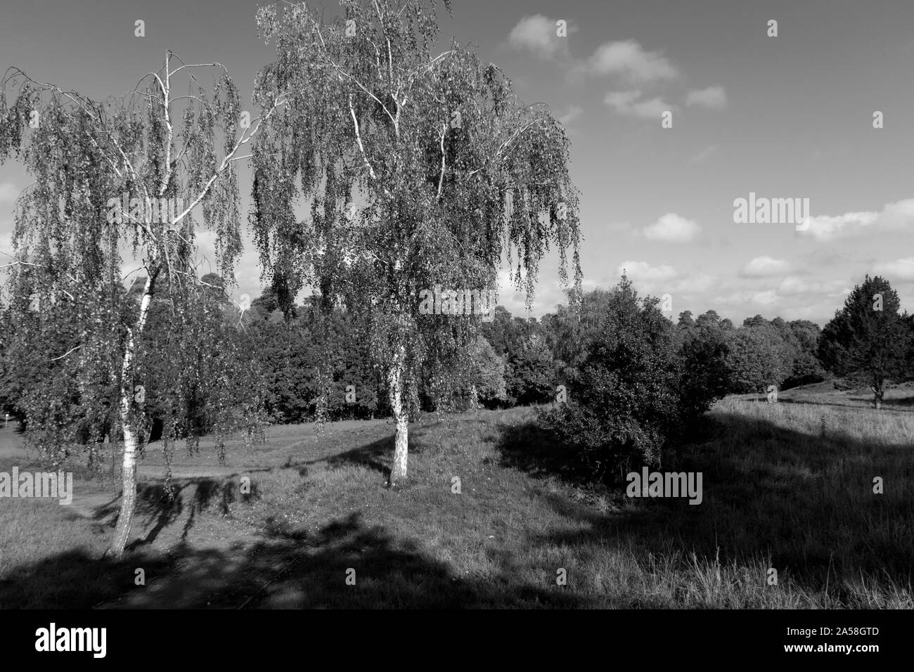 Seasonal nature view Black and White Stock Photos & Images - Alamy