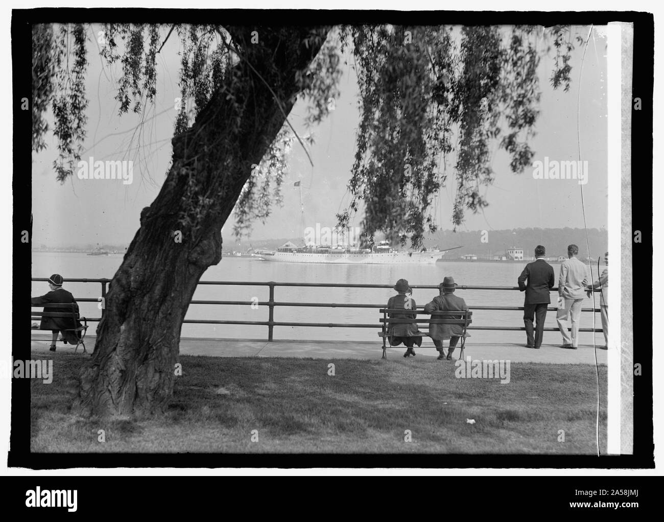 White mayflower Cut Out Stock Images & Pictures - Alamy