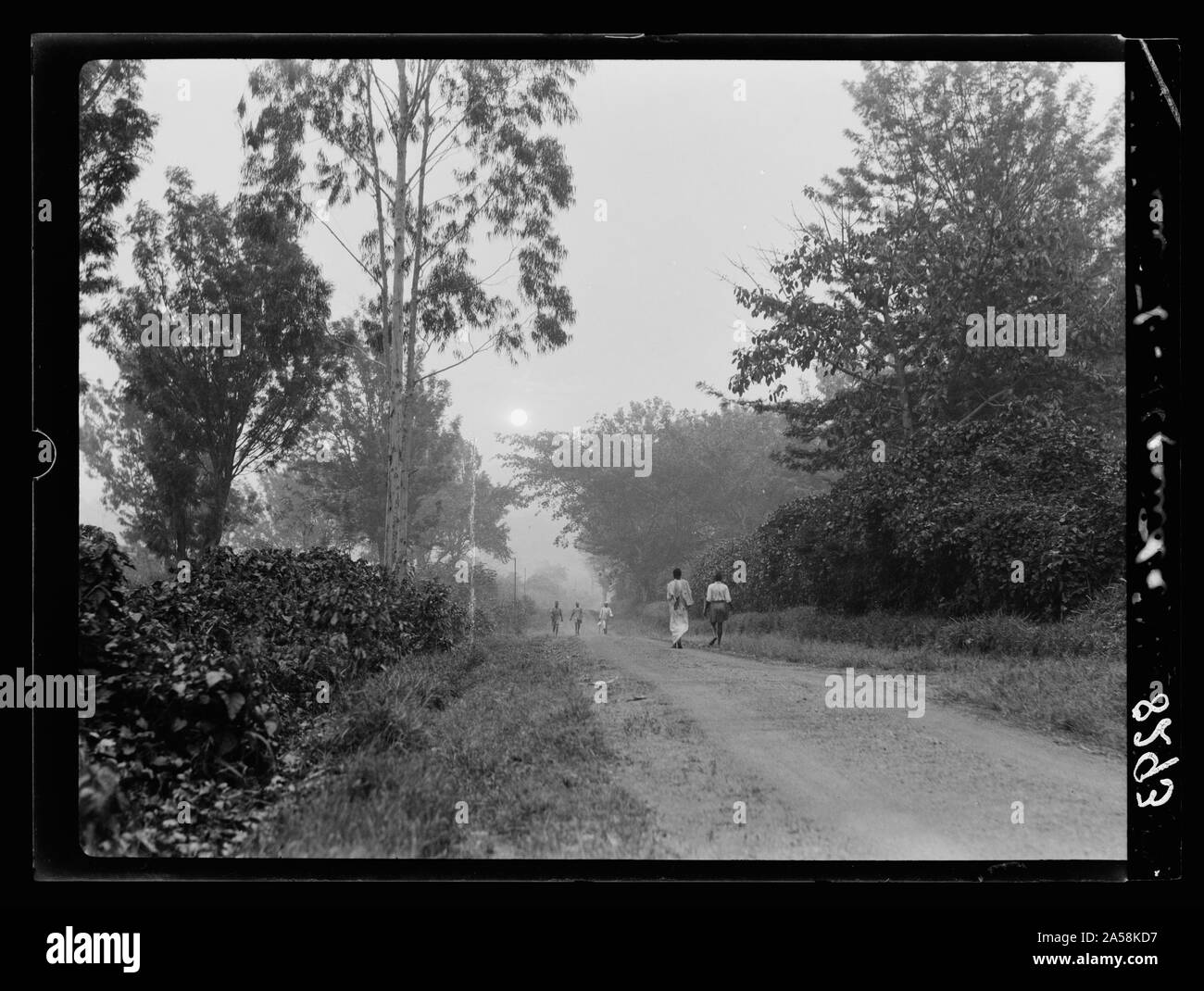 Uganda. From Hoima to Fort Portal. Lowering sun on Fort Portal Road ...