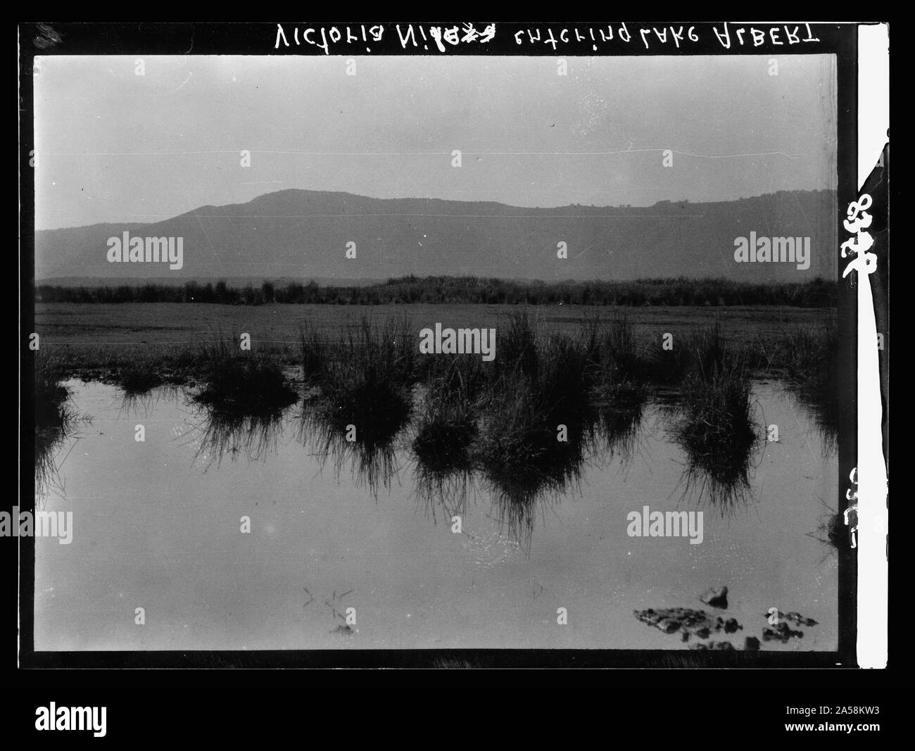 Albert nile river hi-res stock photography and images - Alamy