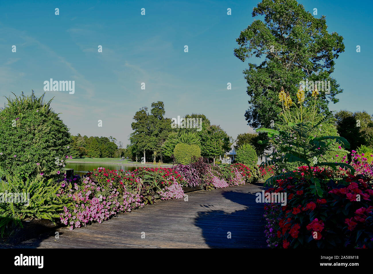 wooden pathway over water lined with flowers Stock Photo - Alamy