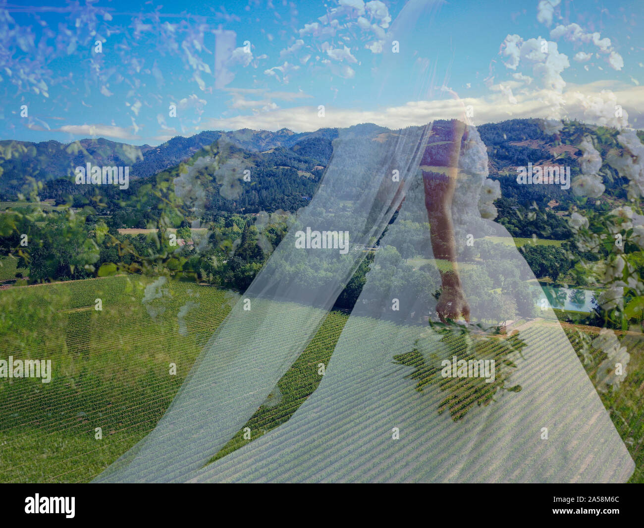 Bride Silhouette over nature landscape. Bride in Wedding Dress over ...
