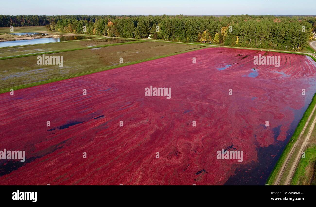 Cranberry bog aerial hi-res stock photography and images - Alamy