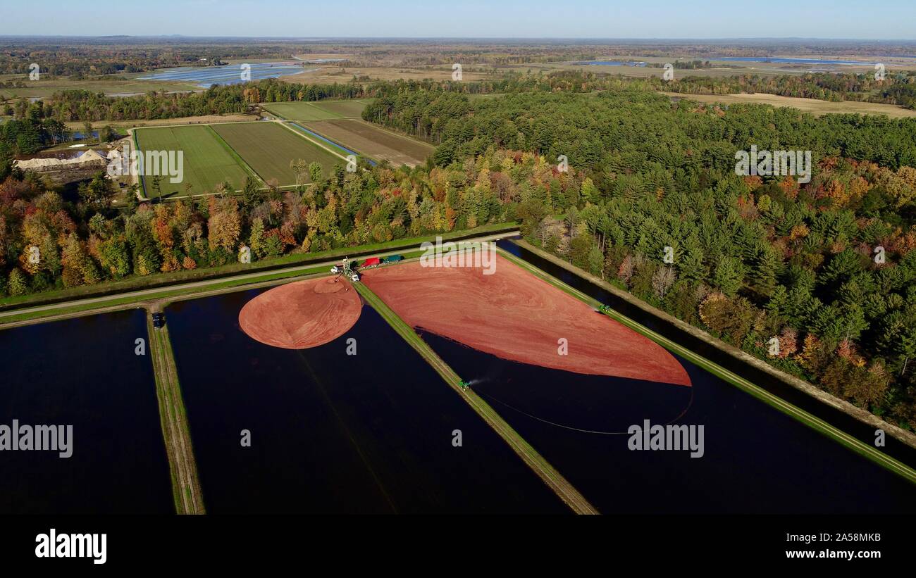Cranberry bog aerial hi-res stock photography and images - Alamy