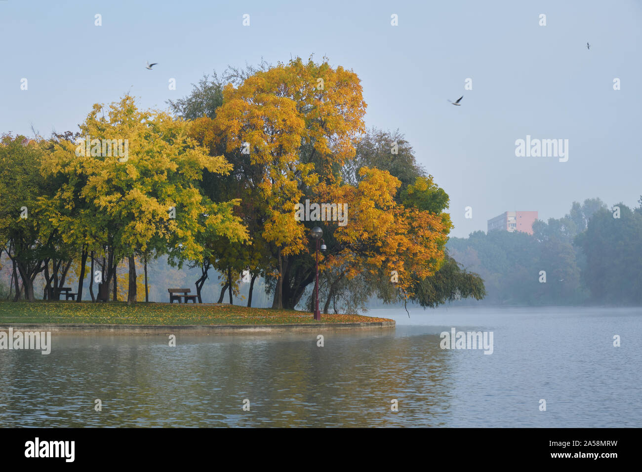 Autumn trees and benches at the edge of an island in Alexandru Ioan ...