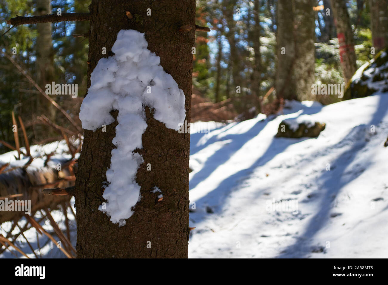 Snow arrow pointing Forward on a tree trunk, in Winter Stock Photo - Alamy