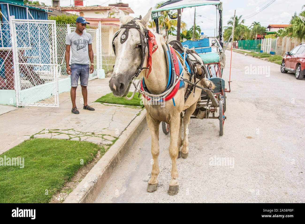 A taxi driver standing behind his rig; a horse and buggy that he uses ...