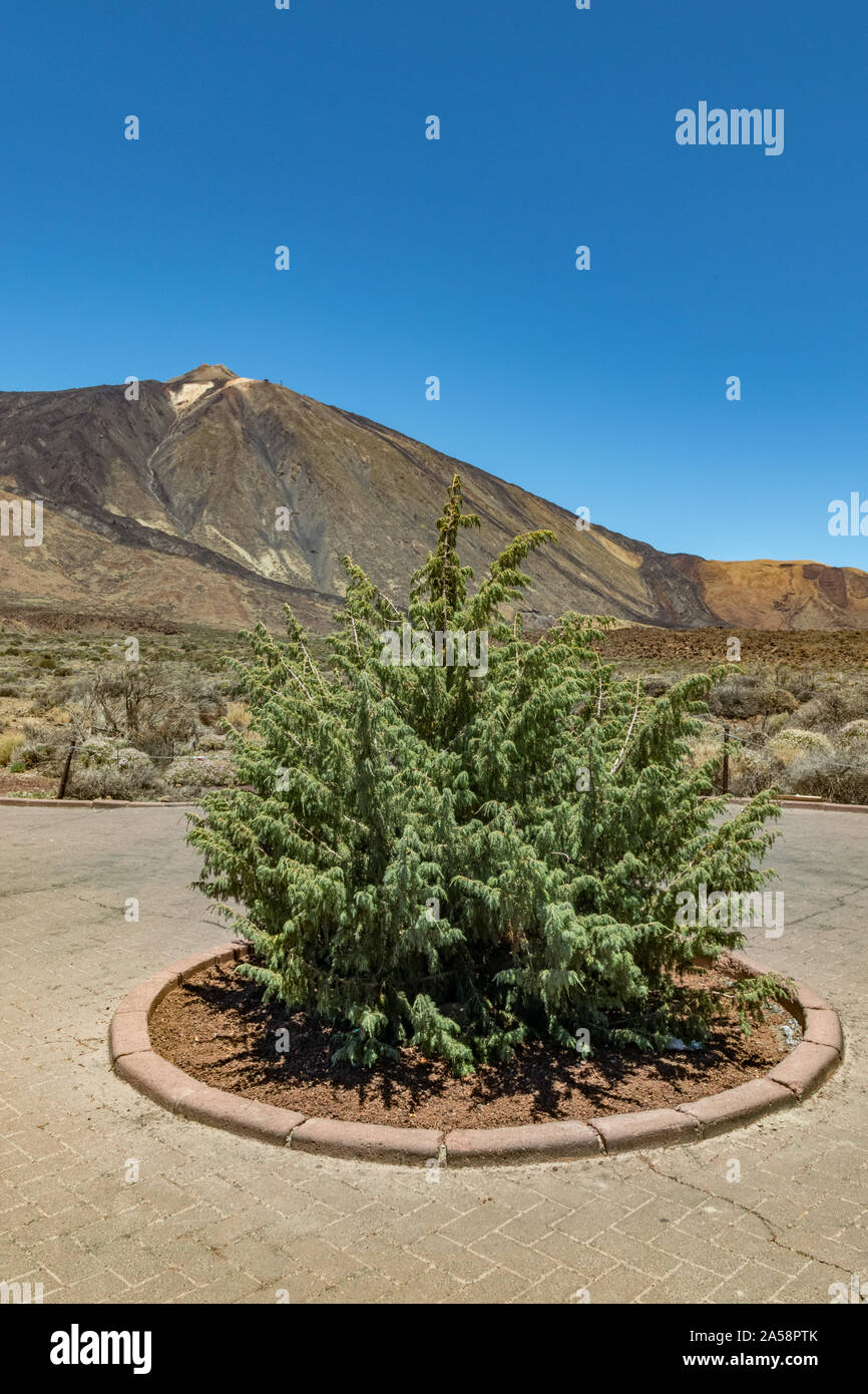 Cedar mountain formation hi-res stock photography and images - Alamy