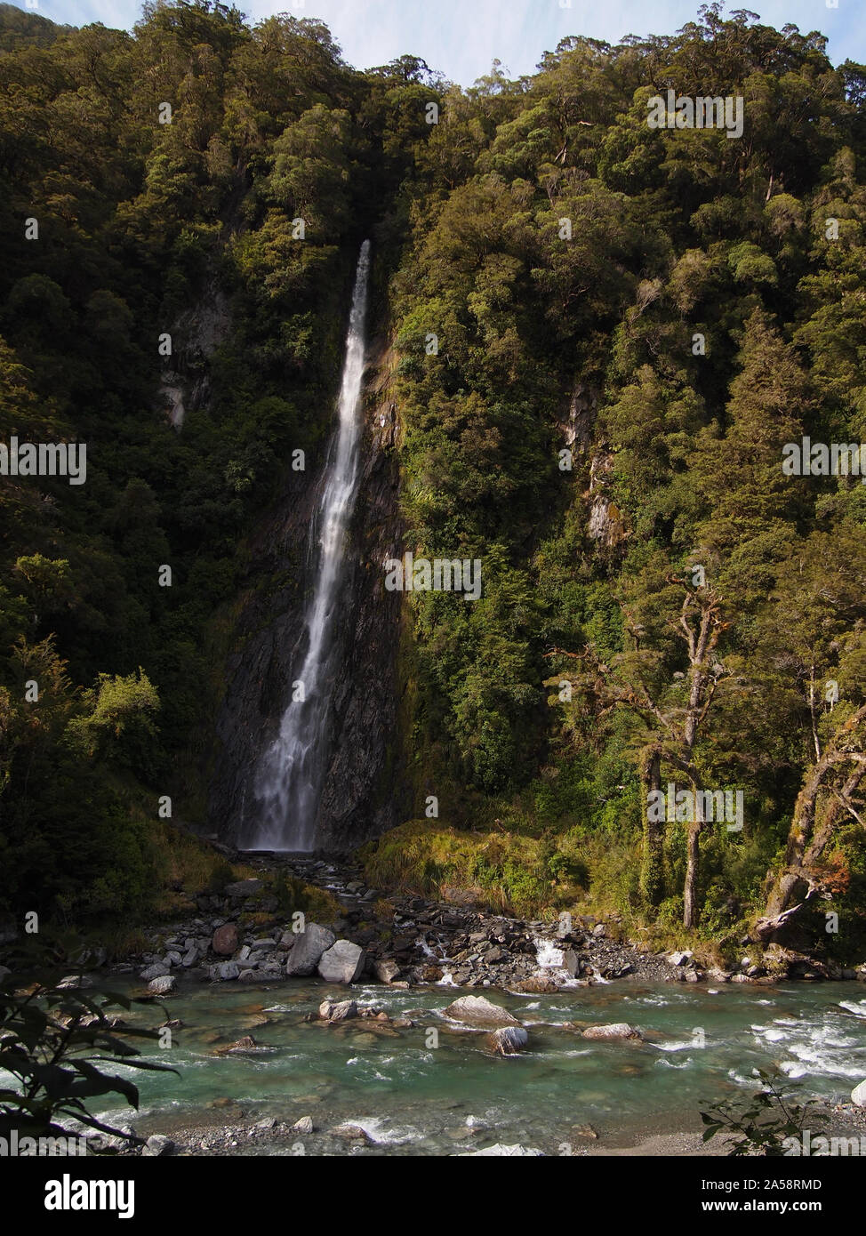 A waterfall in the midst of temperate rainforests in the Southern Alps ...