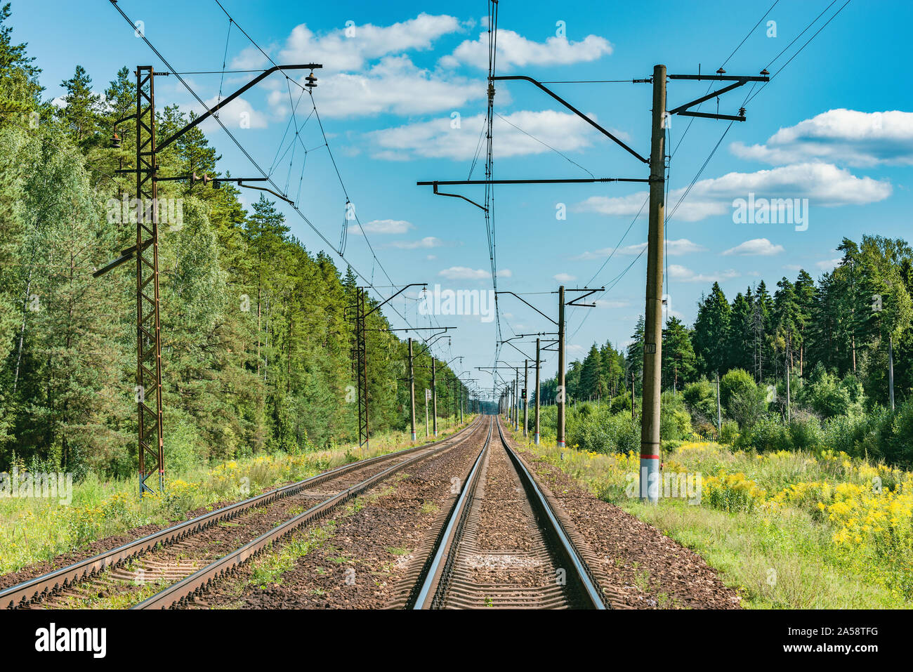 Two railway lines in the forest at day time Stock Photo - Alamy