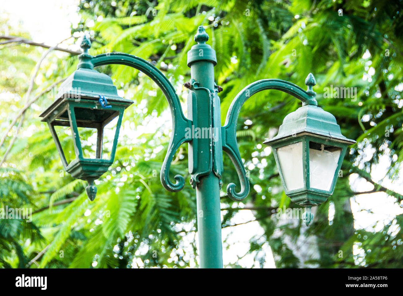 A green, metal, streetlight Stock Photo - Alamy