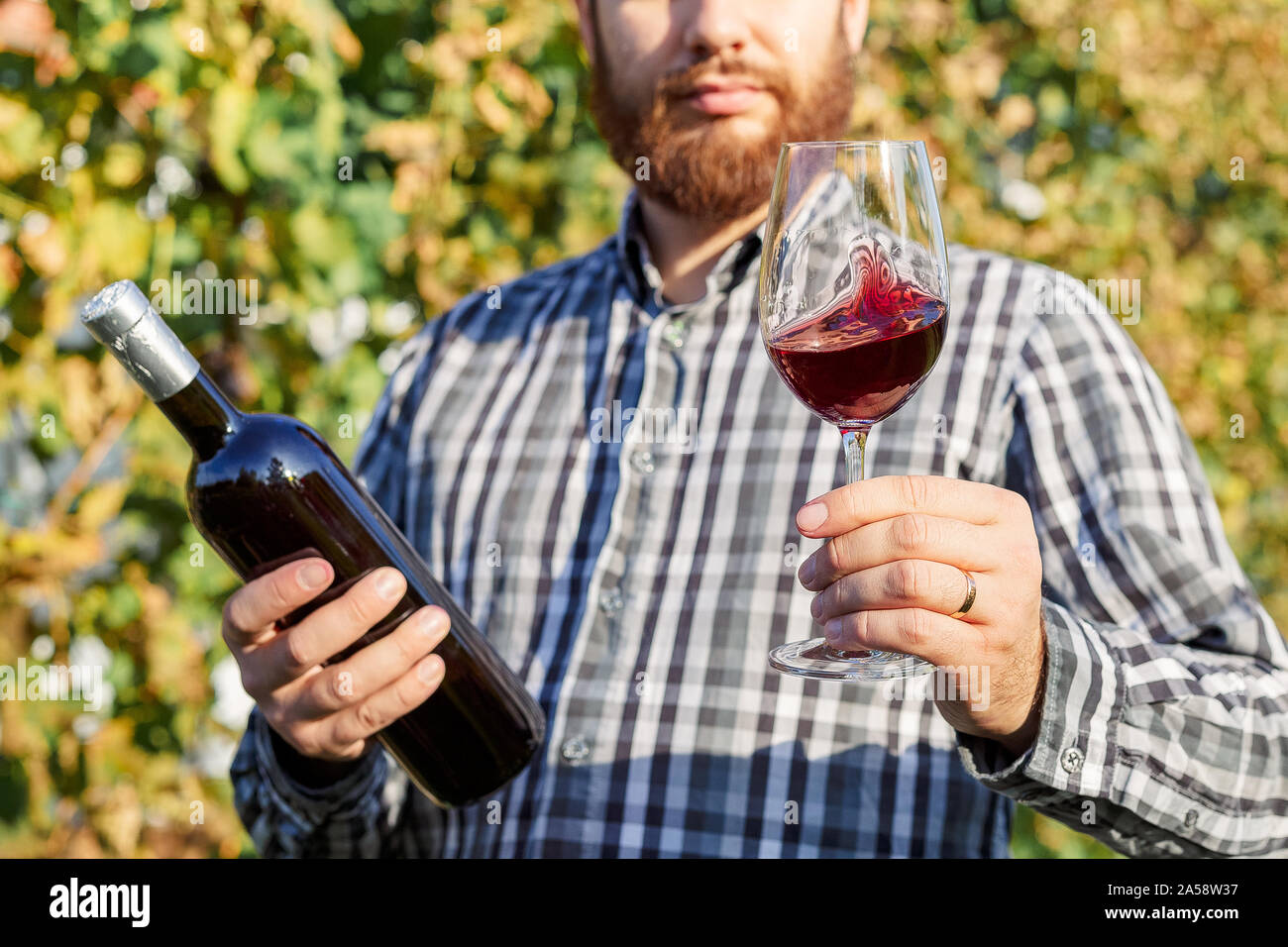 Handsome wine maker holding in his hand bottle and a glass of red wine ...