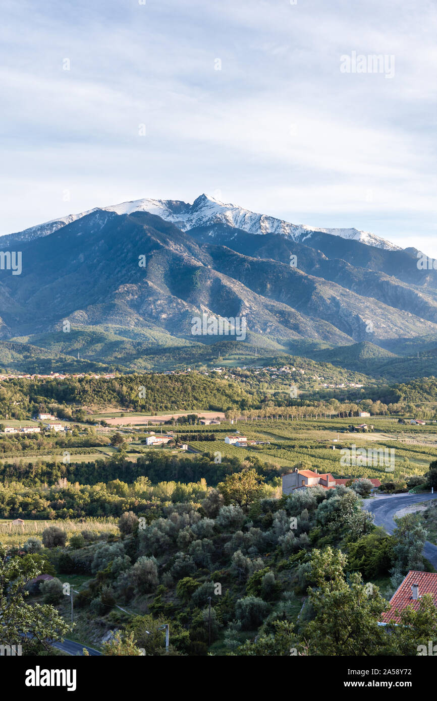 Snow capped Pic du Canigou in the French Pyrenees Stock Photo - Alamy