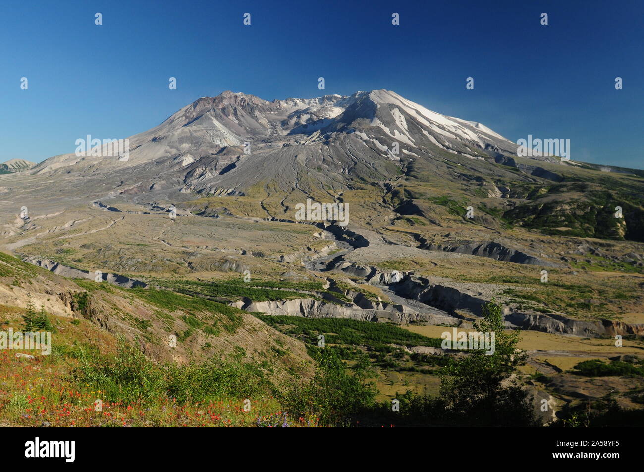 The Barren Landscape Of Volcano Mount St. Helens Oregon USA Stock Photo ...