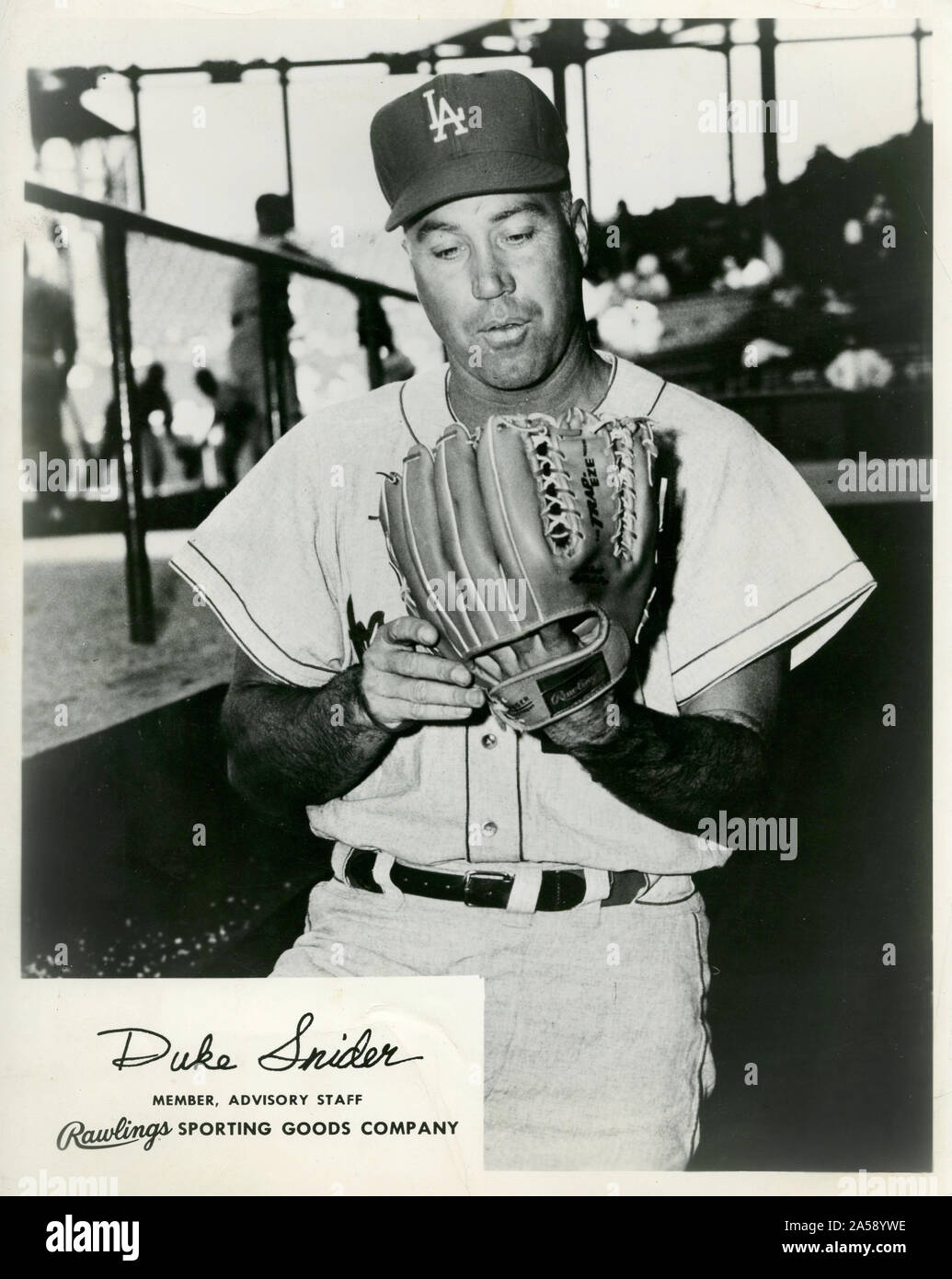Duke Snider Mlb