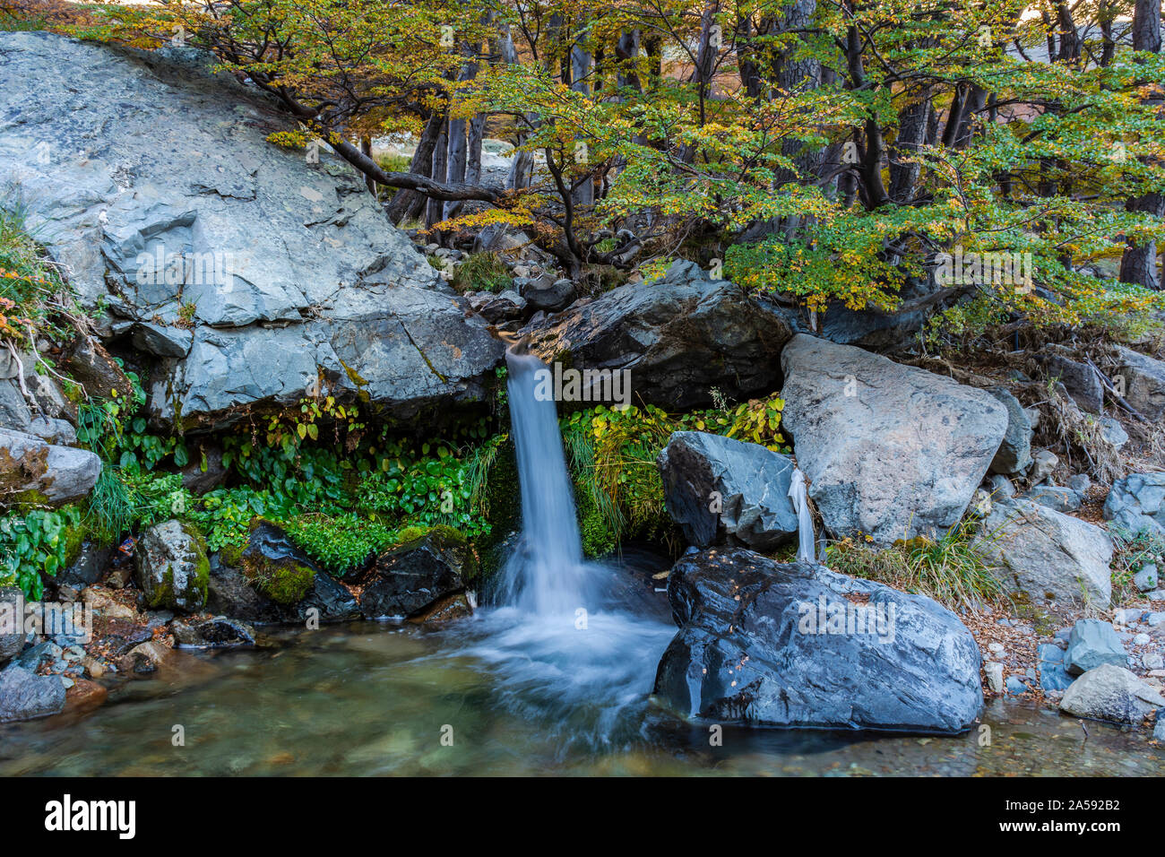 Waterfall in the forest with colorful trees during autumn season Stock ...