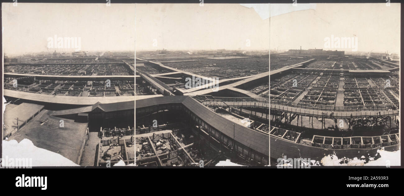 Union Stock Yards, Chicago, Ill Stock Photo - Alamy