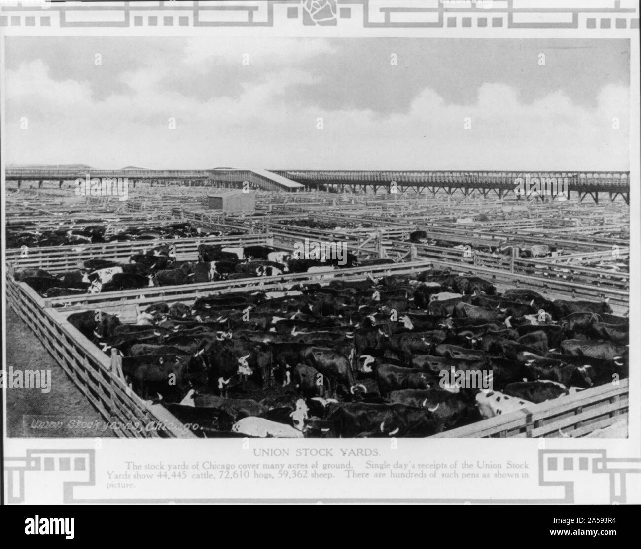 Chicago union stock yards hi-res stock photography and images - Alamy