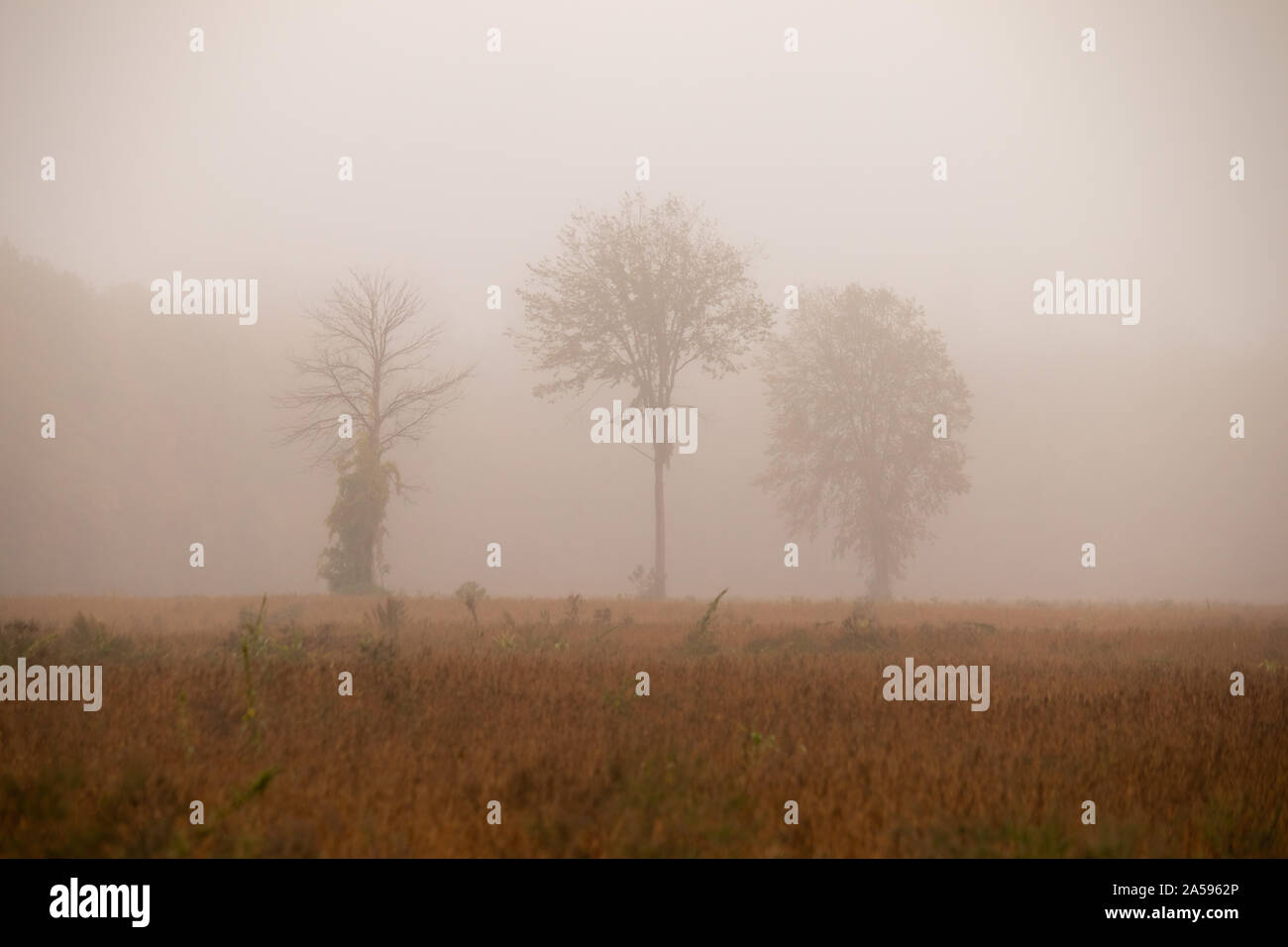 Fantasy farm hi-res stock photography and images - Alamy