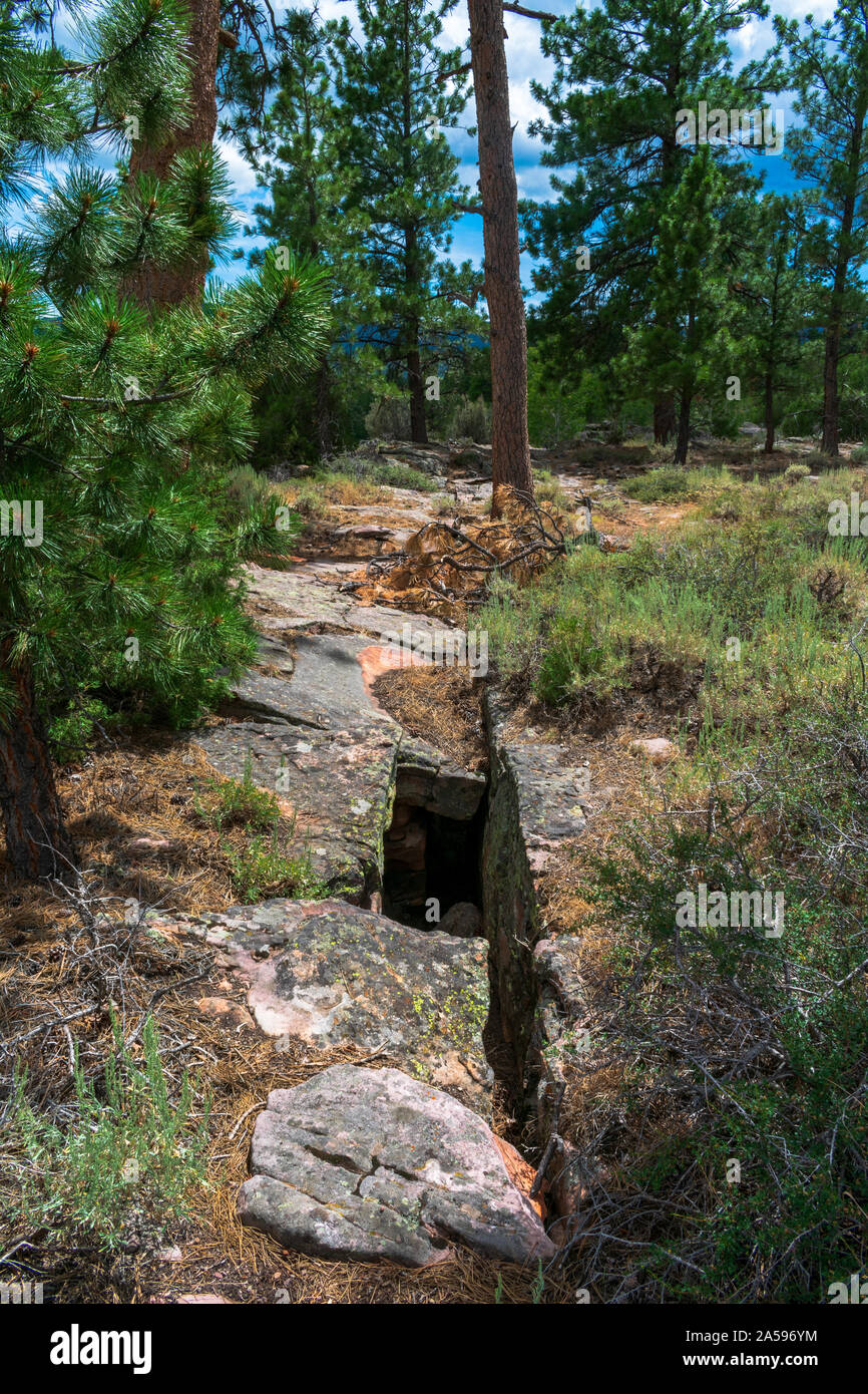 Flaming Gorge National Recreation Area Stock Photo - Alamy